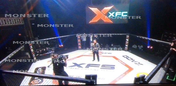 ULTIMATE MMA CAGE - Monster Rings and Cages
