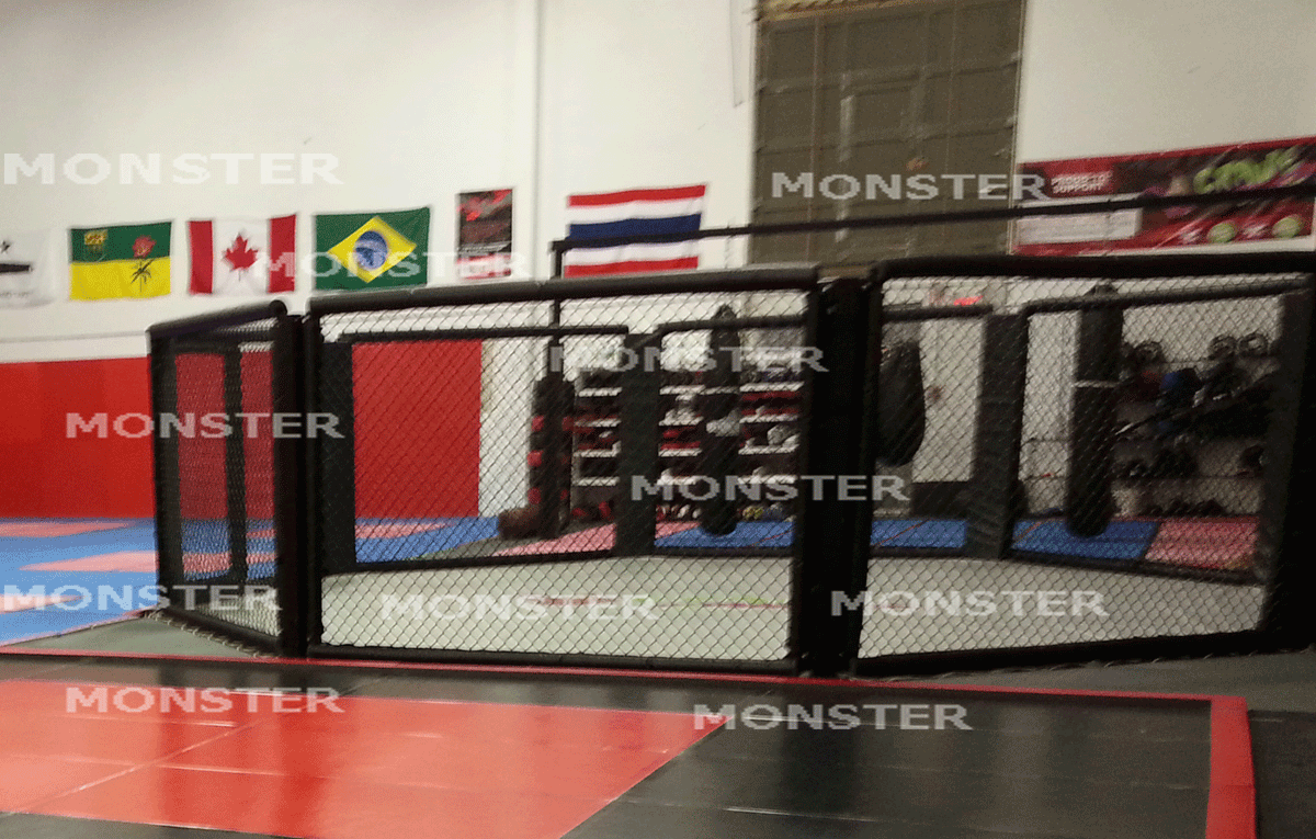 FLOOR GYM CAGE - FREE STANDING - no poles / 16' - Monster Rings and Cages