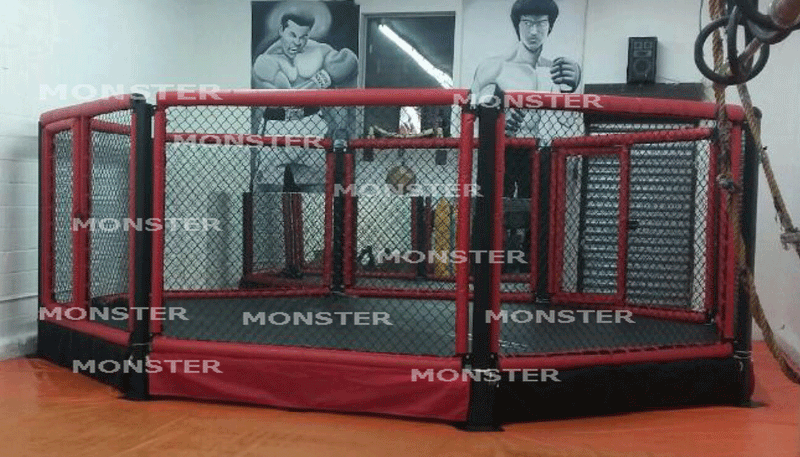 LOWBOY MMA GYM CAGE - Monster Rings and Cages