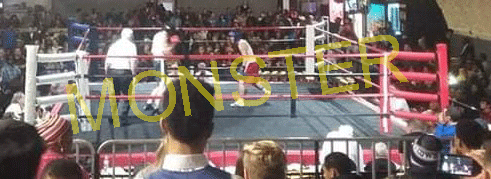COMPETITION BOXING RING – Monster Rings and Cages
