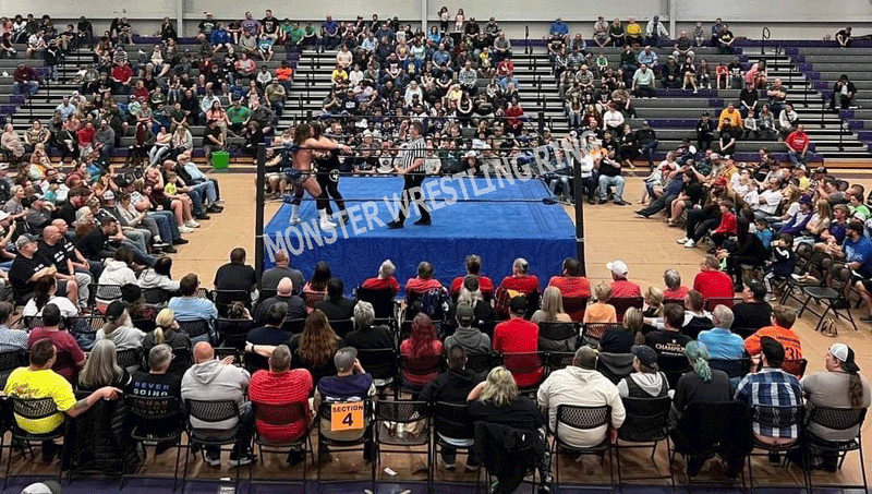 Pro Wrestling Ring Style 1 - Monster Rings and Cages