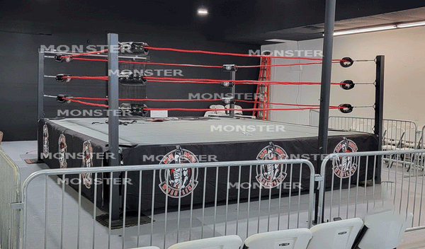 PRO WRESTLING RING Style 2 - Monster Rings and Cages