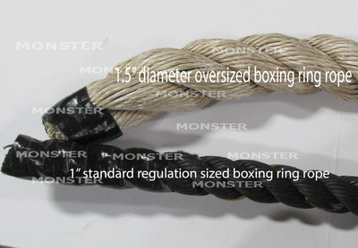 COMPETITION BOXING RING - Monster Rings and Cages